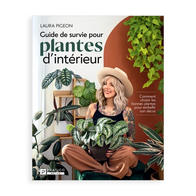 Pratico Edition Découvrez le meilleur guide pour créer une jungle ... Pratico Edition Découvrez le meilleur guide pour créer une jungle ...
